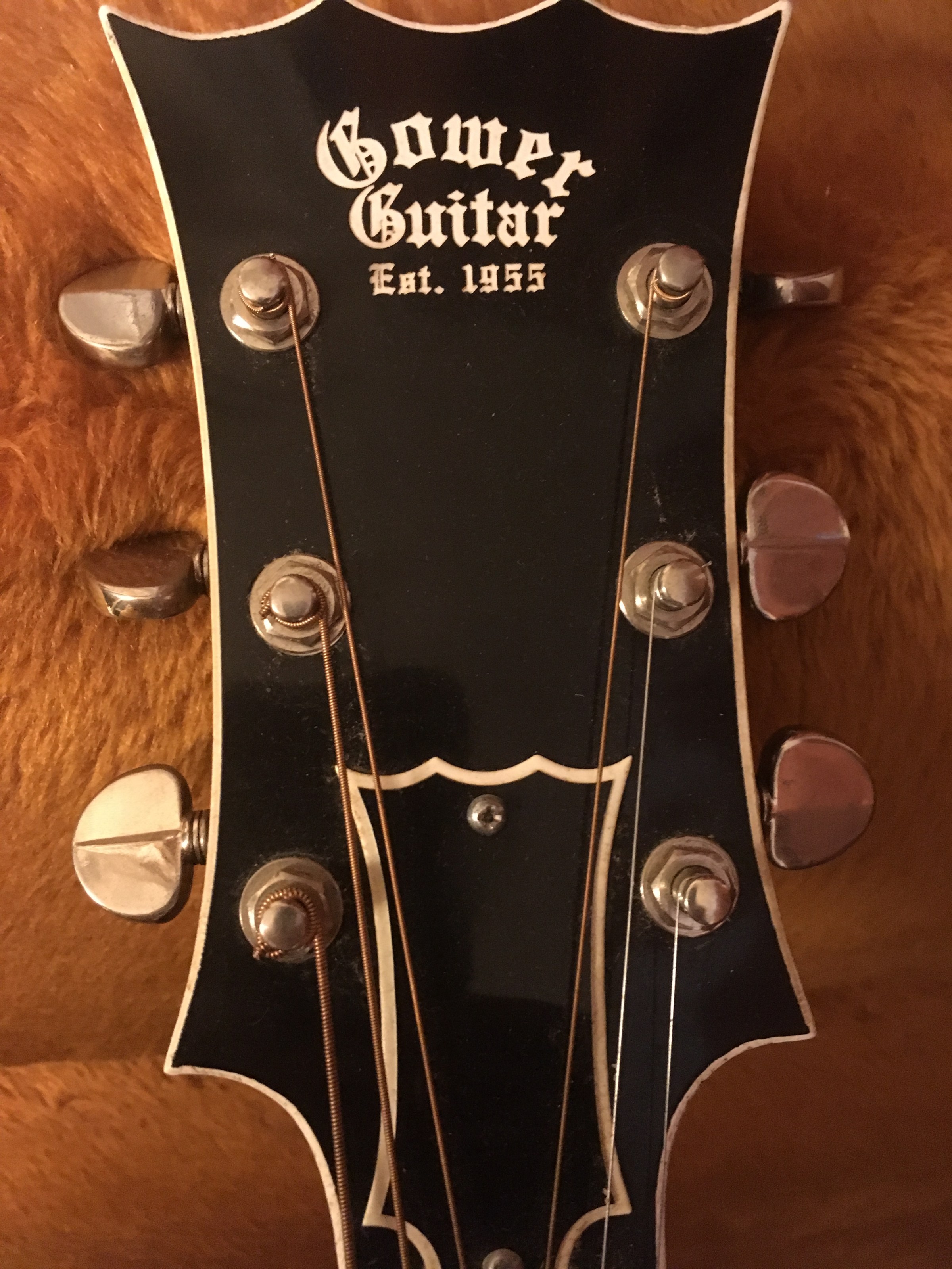 Gower Guitars – PowerPop… An Eclectic Collection of Pop Culture