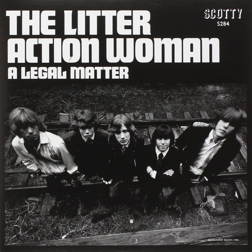 The Litter – Action Woman – PowerPop… An Eclectic Collection of Pop Culture